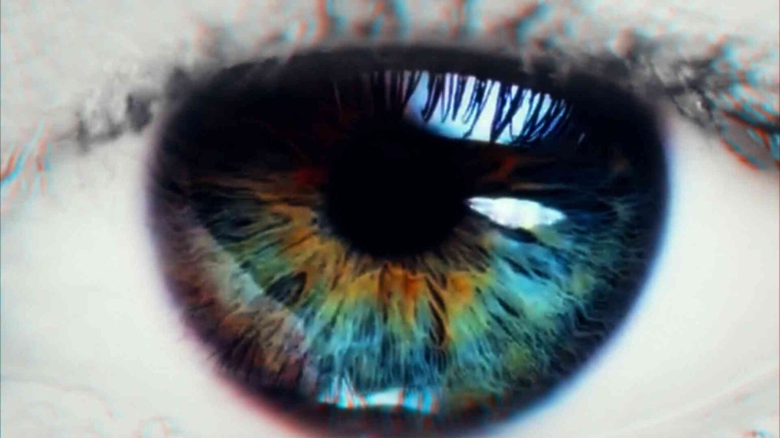 20 FREE Premiere Pro Intro Templates [Download] - MotionKr.com